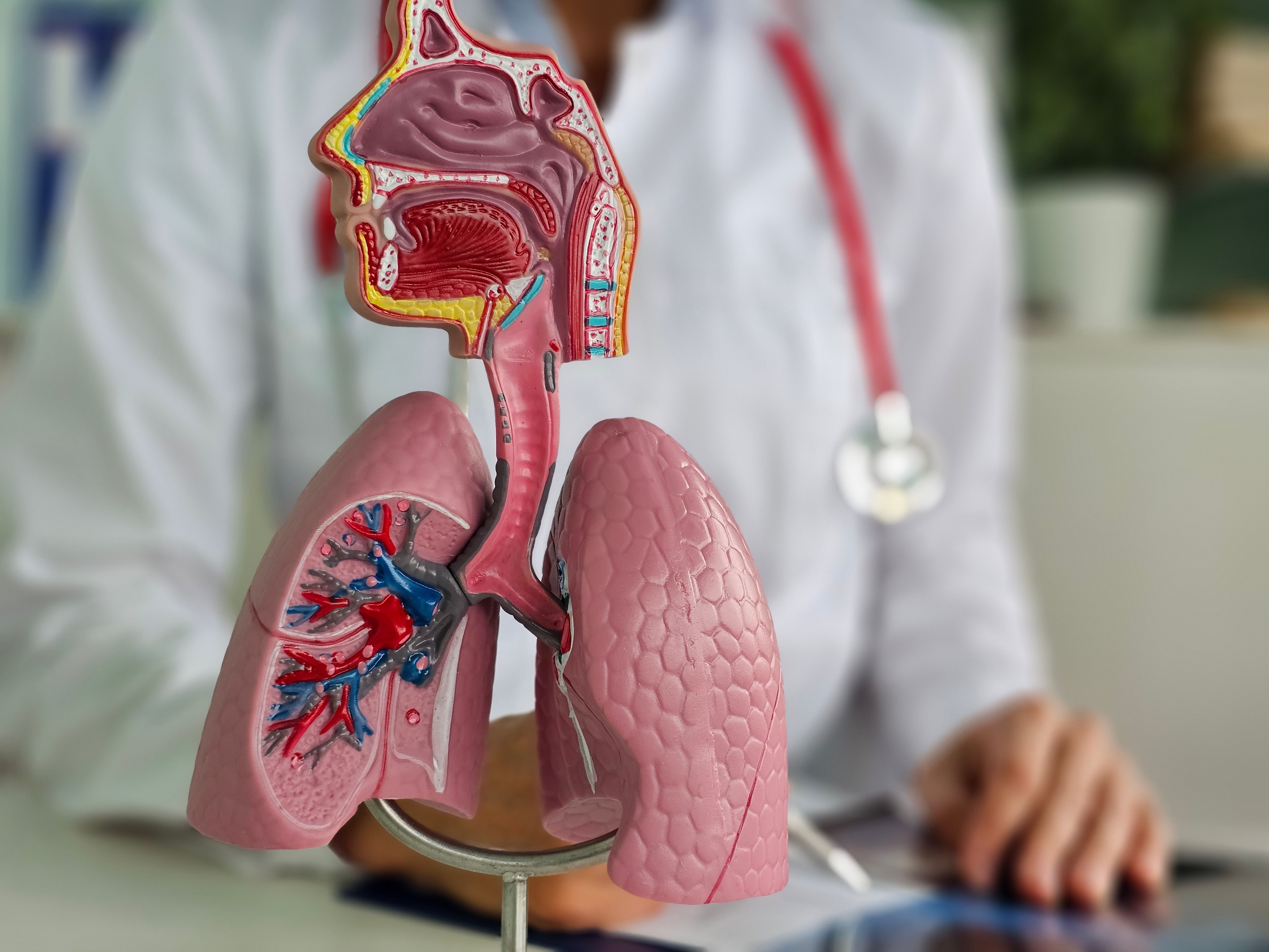 BPCO : l’importance d’une bonne utilisation des inhalateurs | hôpital ...